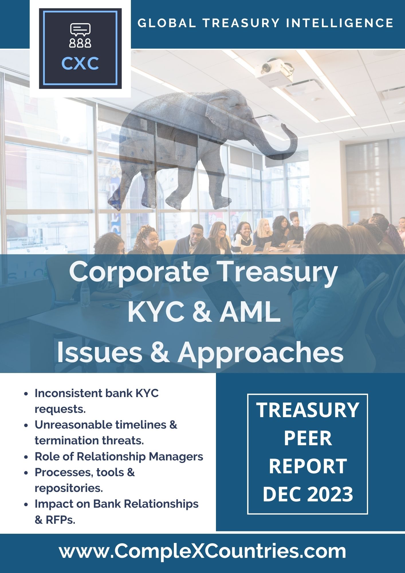 Corporate Treasury KYC & AML Issues and Approaches | CompleXCountries
